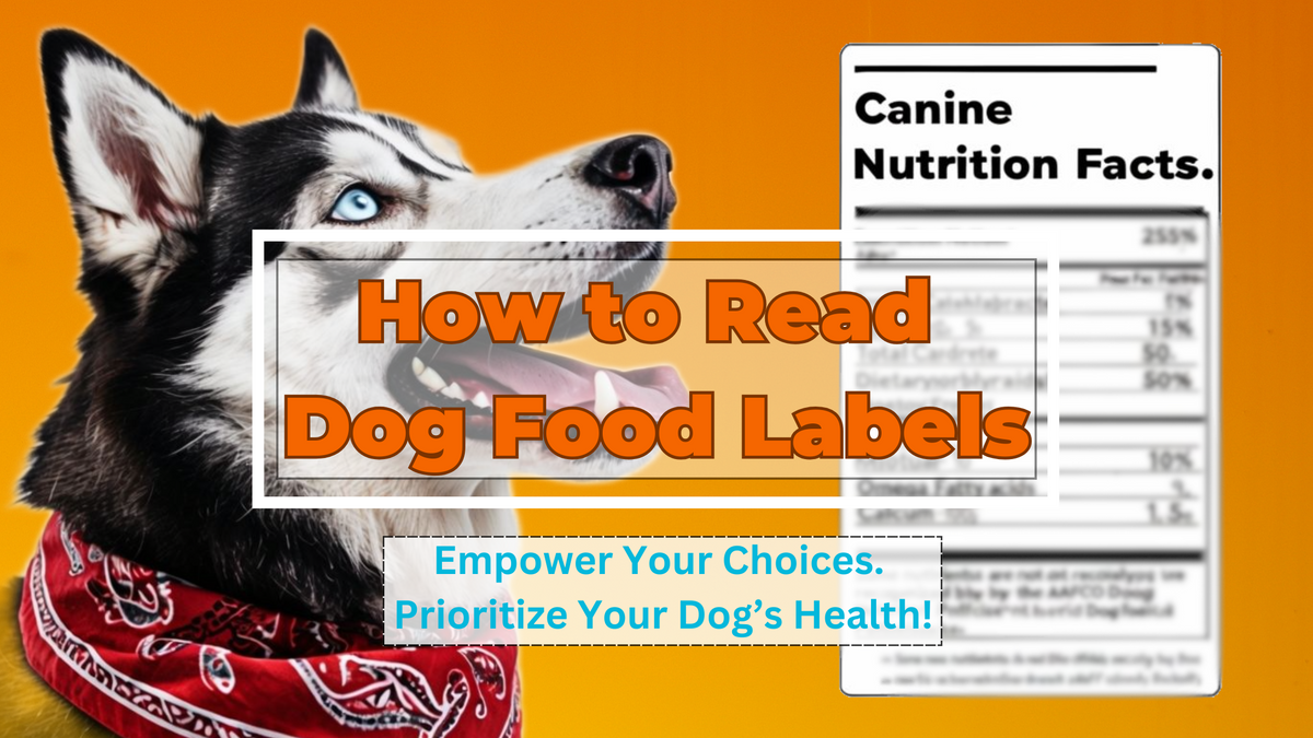 How to Read Dog Food Labels: A Comprehensive Guide for Dog Owners ...