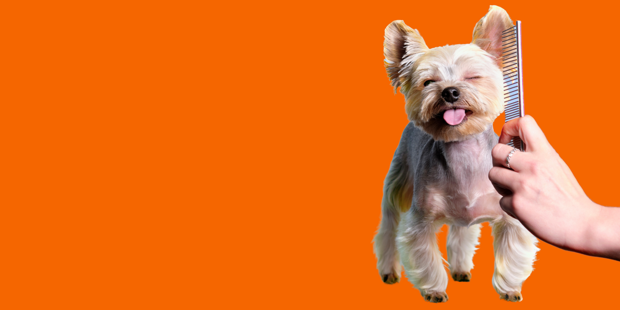 Woofy Meals │ Tailored Dog Food Plans & Delivery in Malta │ 24/7 Shop