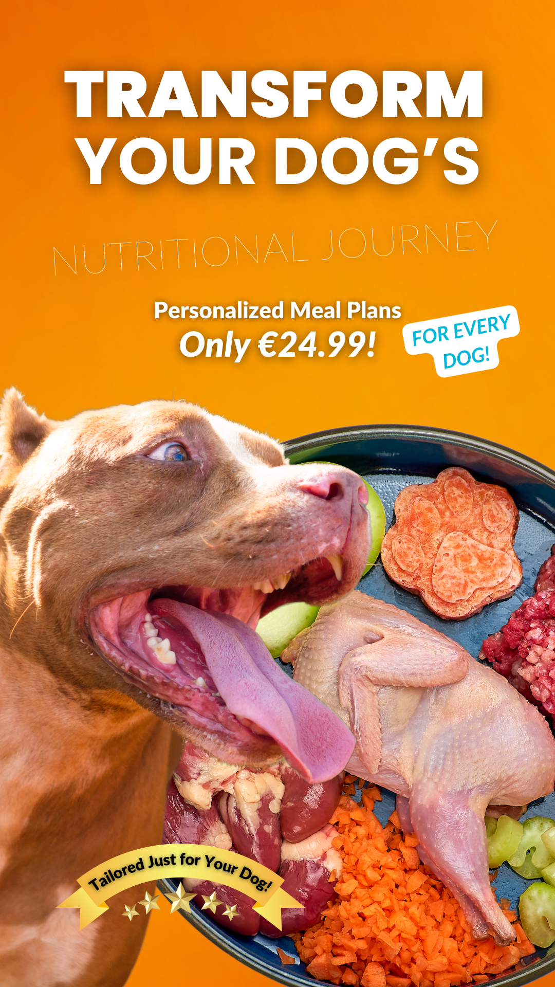 Woofy Meals │ Tailored Dog Food Plans & Delivery in Malta │ 24/7 Shop