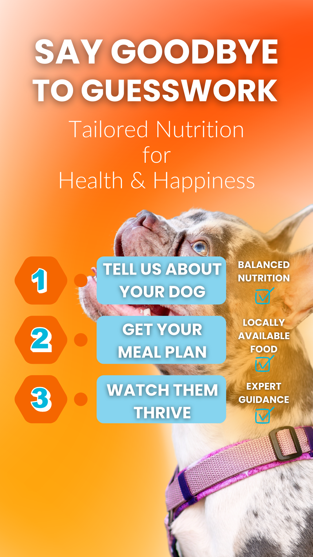 Woofy Meals │ Tailored Dog Food Plans & Delivery in Malta │ 24/7 Shop