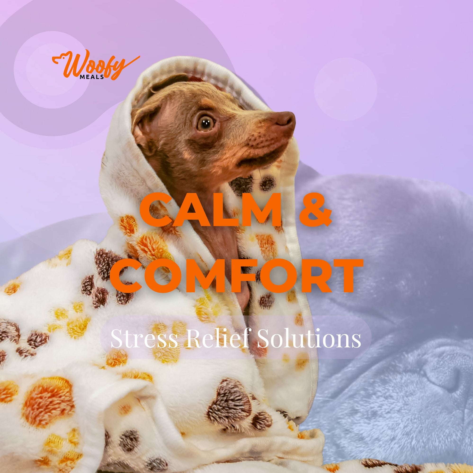 Woofy Meals │ Tailored Dog Food Plans & Delivery in Malta │ 24/7 Shop